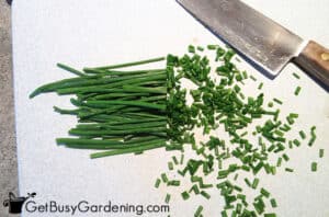 How To Freeze Chives (2 Easy Methods) - Get Busy Gardening
