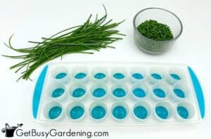 How To Freeze Chives (2 Easy Methods) - Get Busy Gardening