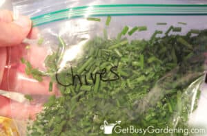 How To Freeze Chives (2 Easy Methods) - Get Busy Gardening