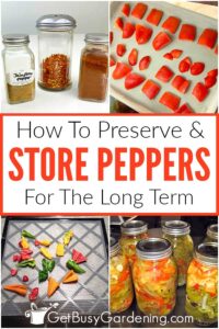 5 Ways To Preserve & Store Peppers For Short Or Long Term - Get Busy ...