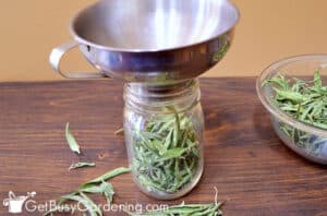 How To Make Homemade DIY Liquid Stevia Extract - Get Busy Gardening