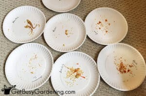 How To Store Seeds The Right Way - Get Busy Gardening