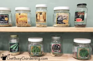 How To Store Seeds The Right Way - Get Busy Gardening