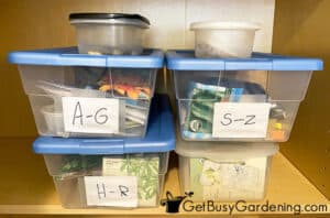 How To Store Seeds The Right Way - Get Busy Gardening