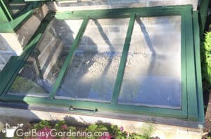 Beginner's Guide To Cold Frame Gardening: How, Why & When To Use