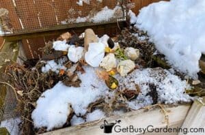 Guide To Composting In The Winter (7 Easy Tips For Success)