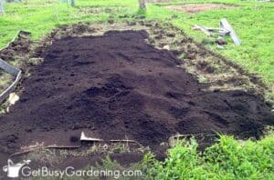 No Dig Gardening 101: How To Start A No Till Garden