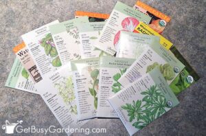 Seed Starting 101: The Ultimate Guide To Growing Plants From Seed