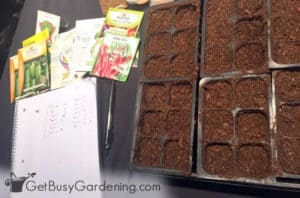 Seed Starting 101: The Ultimate Guide To Growing Plants From Seed