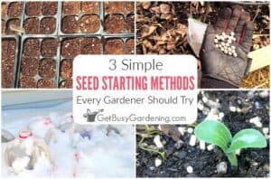 Seed Starting Methods: 3 Easy Seed Sowing & Germination Techniques
