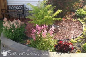 Foundation Planting Basics (Design Tips & Detailed Step-By-Step Guide)