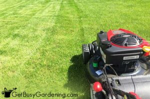 Lawn Mowing Patterns & Techniques: How To Cut Grass Like A Pro