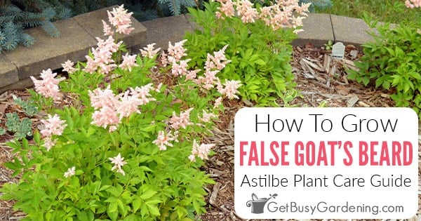 Pt gardeners | ProTeacher Community