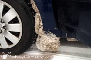 Salt Damage To Plants - How To Fix & Prevent Salt Toxicity In Plants & Soil