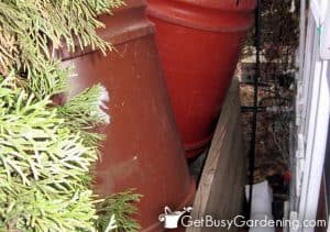 How To Winterize A Rain Barrel (In 4 Easy Steps!) - Get Busy Gardening