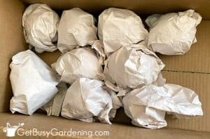 How To Store Apples For The Short & Long Term - Get Busy Gardening