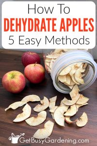 Dehydrating Apples - 5 Easy Drying Methods To Try (Step-By-Step)
