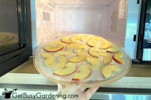 Dehydrating Apples - 5 Easy Drying Methods To Try (Step-By-Step)