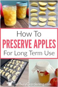How To Preserve Apples For Long Term Use