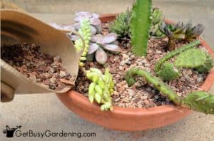How To Make & Use Gritty Soil Mix - Get Busy Gardening
