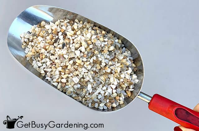 How To Make Your Own Cactus Soil Mix (With Recipe!)