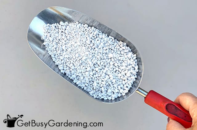 How To Make Your Own Cactus Soil Mix (With Recipe!)