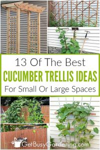 Cucumber Trellis Ideas - 13 Of The Best DIY Designs For Your Garden
