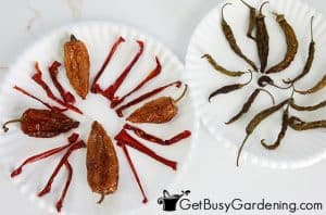Drying Peppers At Home: The 5 Best Ways - Get Busy Gardening