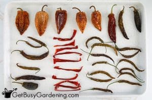 Drying Peppers At Home: The 5 Best Ways - Get Busy Gardening