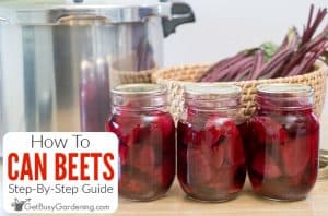Canning Beets - The Complete How To Guide