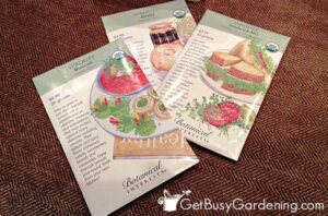 Growing Sprouts: The Complete How To Guide