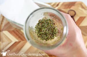 Growing Sprouts: The Complete How To Guide