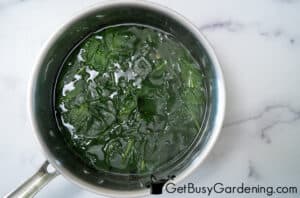 How To Freeze Spinach (With Or Without Blanching)