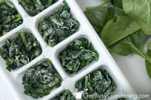 How To Freeze Spinach (With Or Without Blanching)