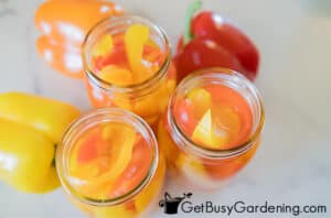 Canning Peppers - Complete How To Guide - Get Busy Gardening