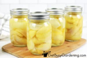 Canning Apples With Or Without A Pressure Canner
