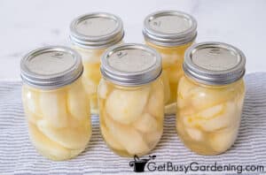 Canning Pears With Or Without A Pressure Canner
