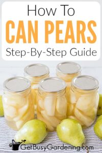 Canning Pears With Or Without A Pressure Canner