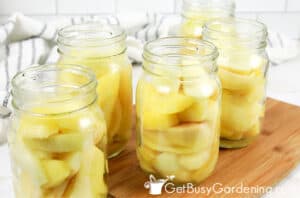 Canning Apples With Or Without A Pressure Canner