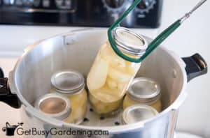Canning Pears With Or Without A Pressure Canner