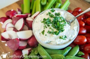 Healthy Veggie Dip Recipe (Quick & Easy!) - Get Busy Gardening