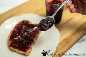 Homemade Grape Jelly Recipe (Quick & Easy!)