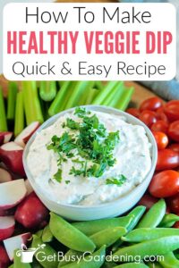 Healthy Veggie Dip Recipe (Quick & Easy!) - Get Busy Gardening