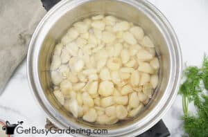 Pickled Garlic Recipe: Quick, Easy, Delicious - Get Busy Gardening