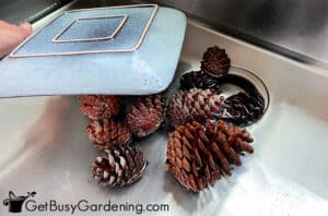 How To Make Scented Pine Cones At Home - Get Busy Gardening