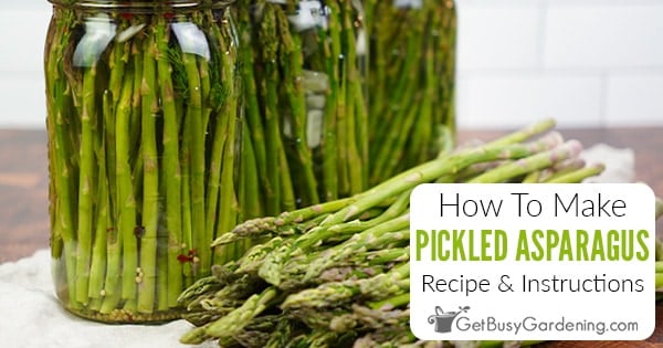 Pickled Asparagus Recipe: Quick & Easy - Get Busy Gardening