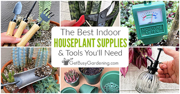 Houseplant Supplies, Tools & Equipment You Need To Get Started