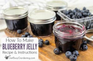 Homemade Blueberry Jelly Recipe (Quick & Easy!)