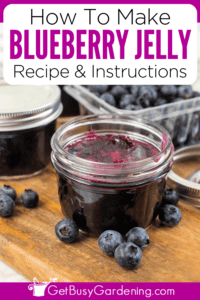 Homemade Blueberry Jelly Recipe (Quick & Easy!)