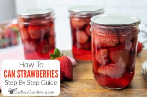 Canning Strawberries - The Complete How To Guide